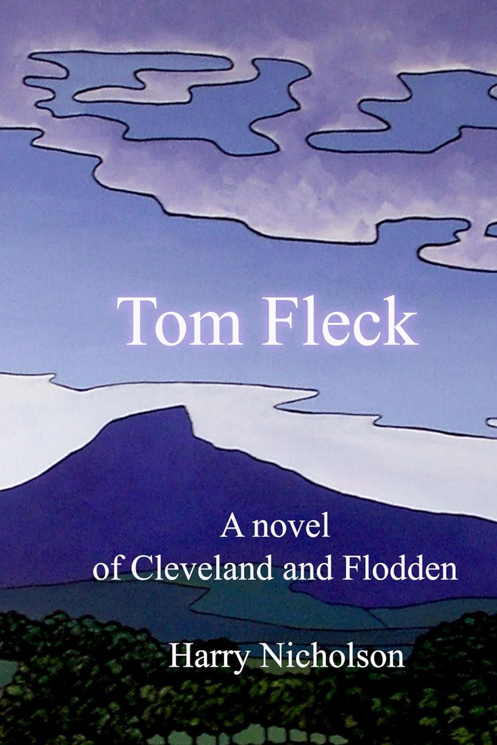 Tom Fleck By Author Harry Nicholson – Shop - The Book Dragon
