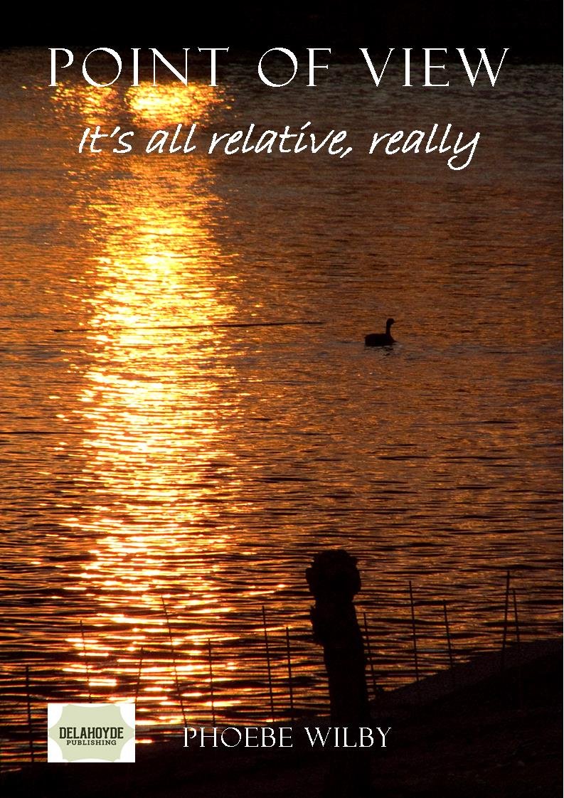 Point of View: It’s all relative, really By Author Phoebe Wilby – Shop ...