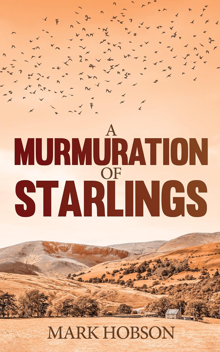 A Murmuration of Starlings By Author Mark Hobson – Shop - The Book Dragon